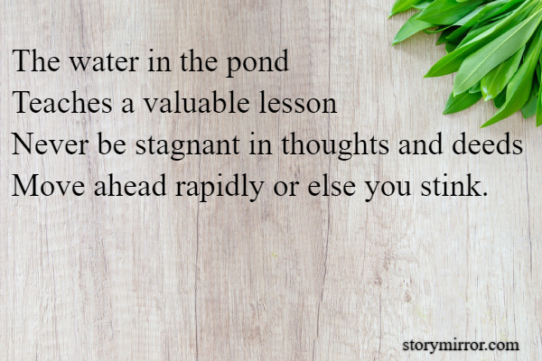 Stagnant Pond Quotes New Little Pond Got 3 Small Goldfish. Need Some