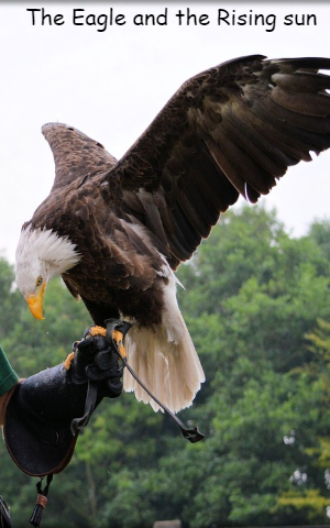 The Eagle And The Rising Sun | English Abstract Story | Ravi Lall