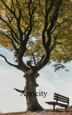 Apricity | English Abstract Poem | Ankush Ray