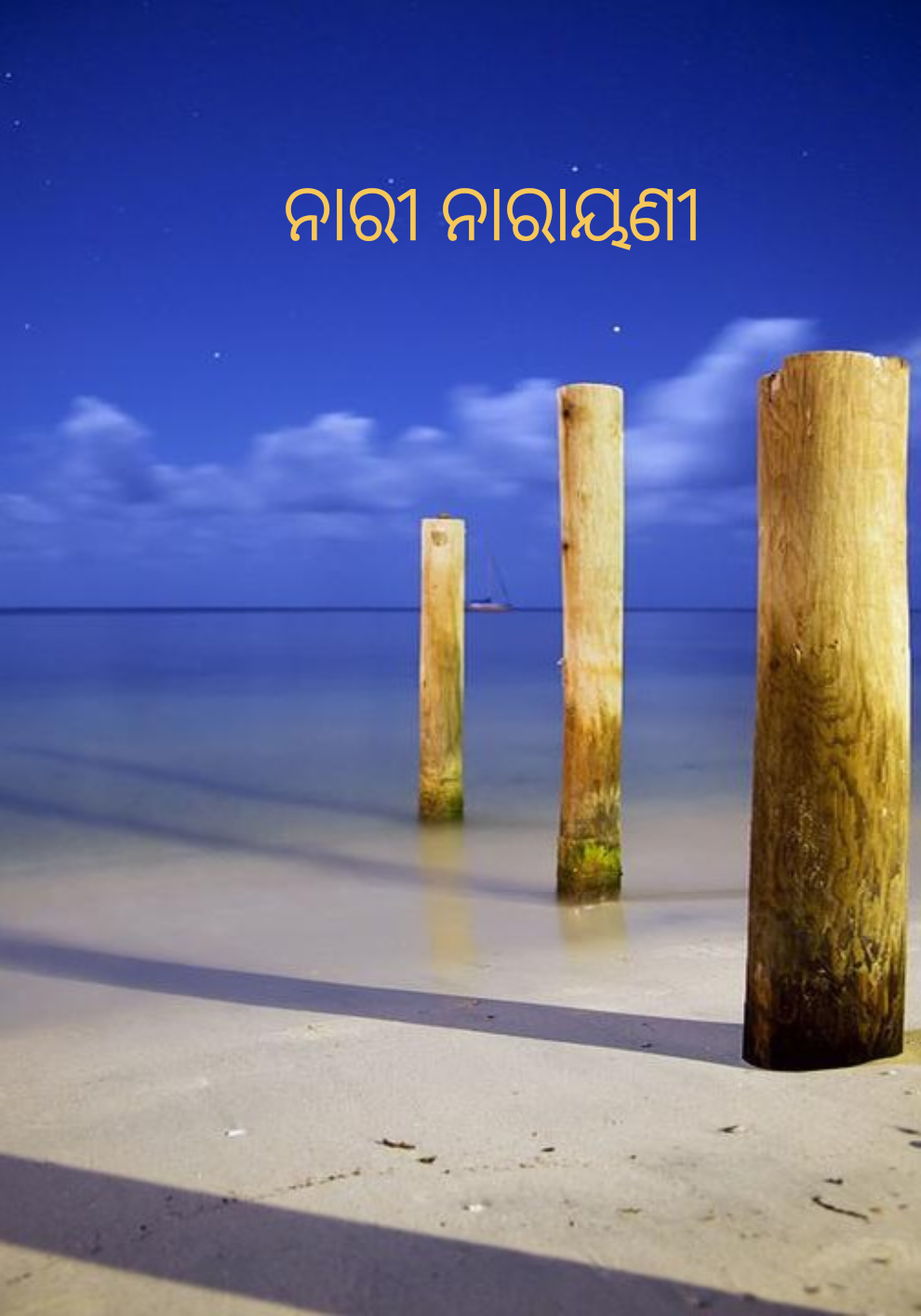 ନାରୀ ନାରାୟଣୀ | Oriya Inspirational Poem | Niranjan Mishra