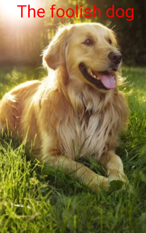 The foolish dog | English Children Stories Story | Jaspreet Kaur