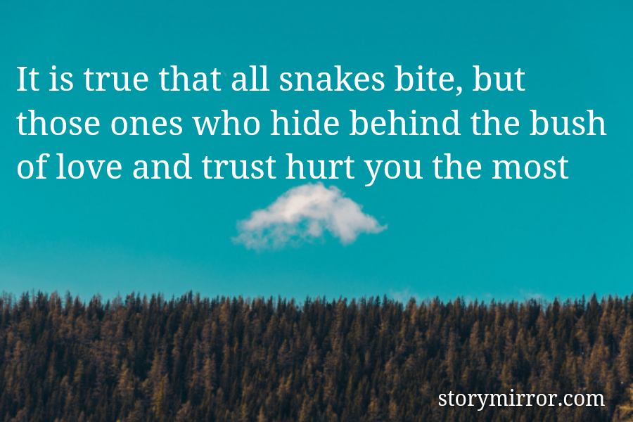 Snake Bites Quotes