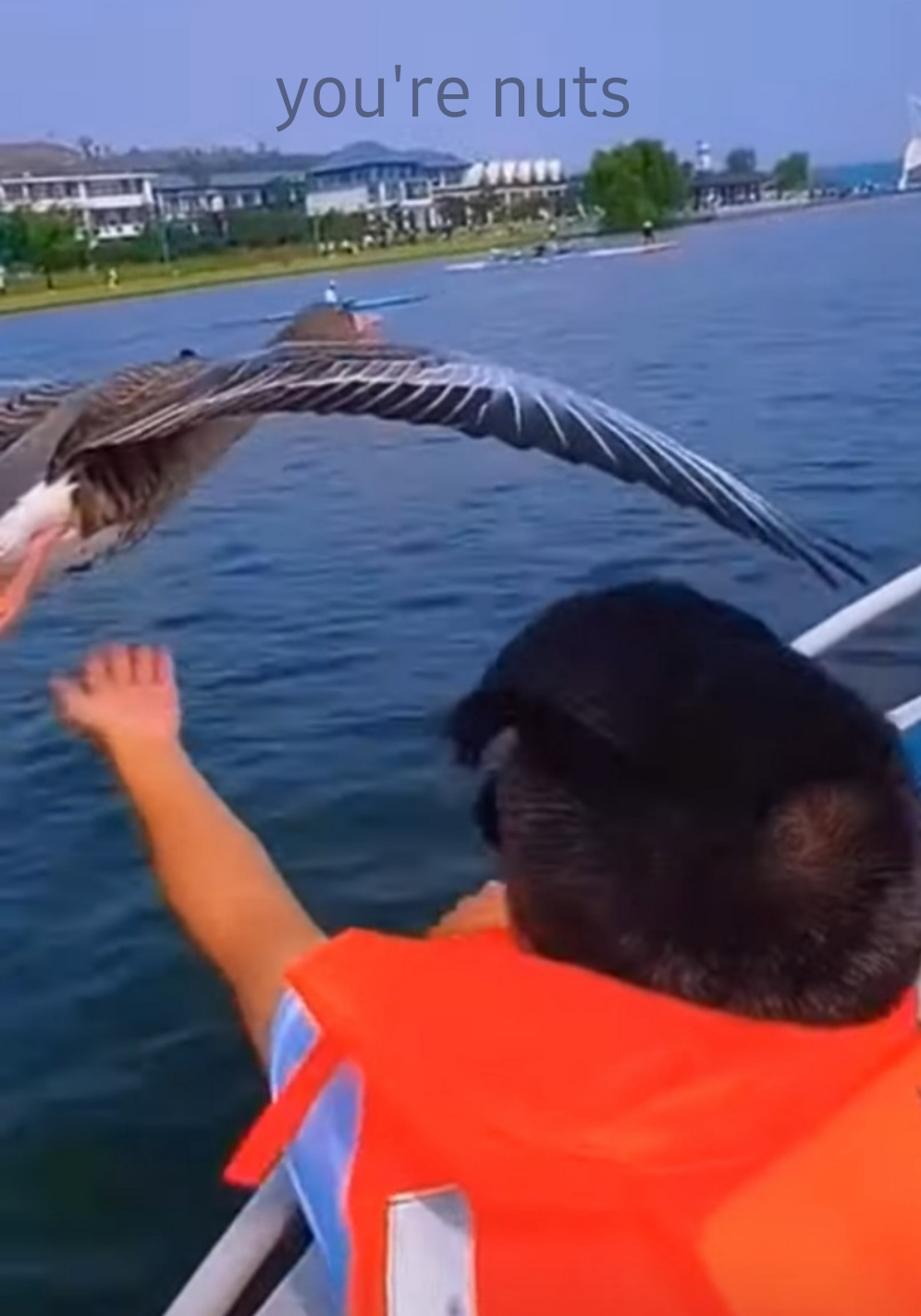 You're nuts | English Others Poem | jagjit singh