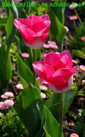 Balanced Diet - An Acrostic Poem | English Action Poem | Ramya R