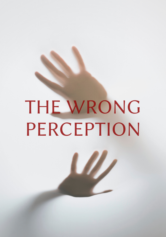 The Wrong Perception | English Classics Story | Souradip Ghosh