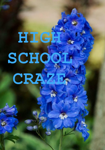 High School Craze | English Comedy Story | Paula Kenzie