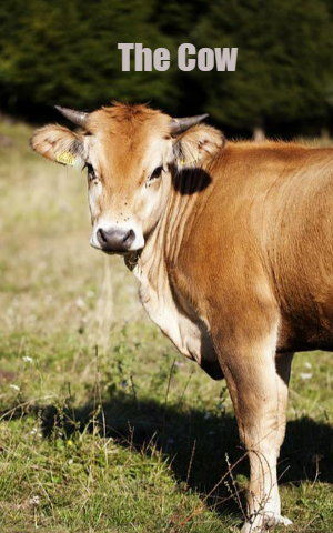 The Cow | English Children Stories Story | REVATHI CHAGANTI