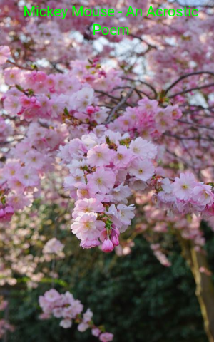 Mickey Mouse - An Acrostic Poem | English Action Poem | Ramya R