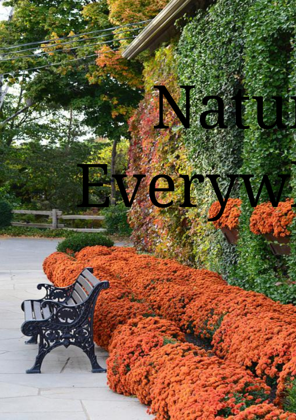 Nature is Everywhere | English Others Poem | Toral Vyas