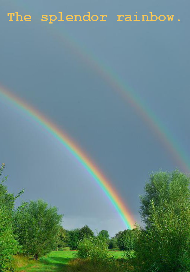 The splendor rainbow. | English Action Poem | Parul Jain