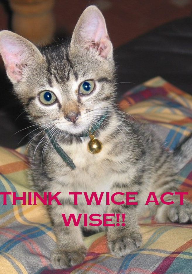 Think Twice Act Wise English Inspirational Story Pranav Jain 