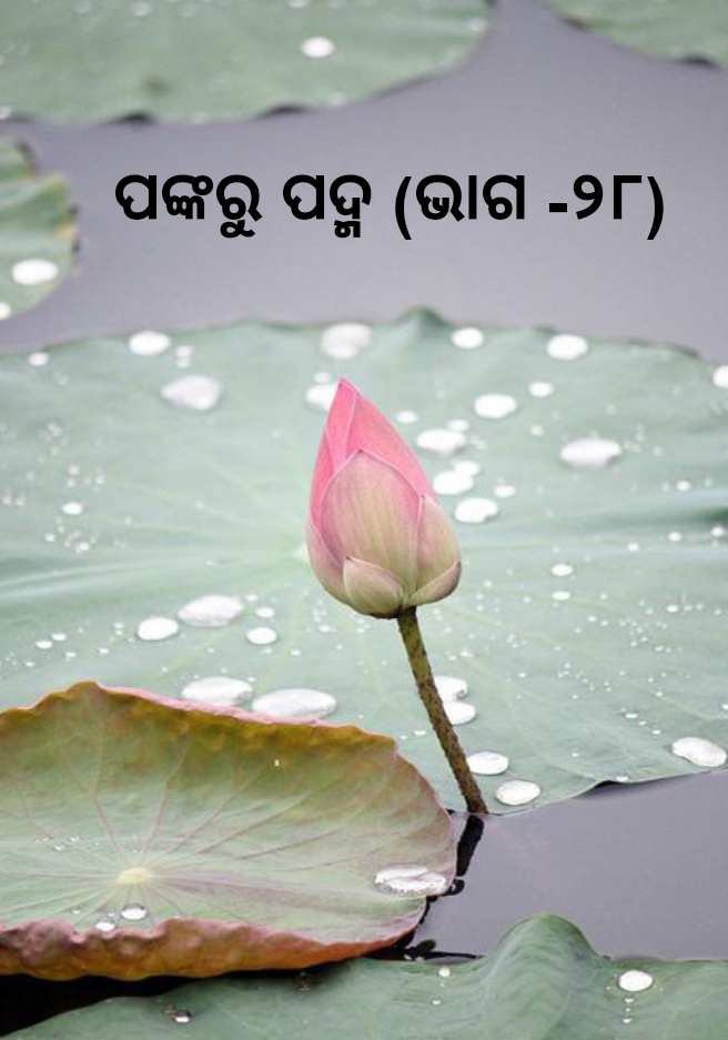 ପଙ୍କରୁ ପଦ୍ମ (ଭାଗ -୨୮) | Oriya Children Stories Story | Jyotirmayee Panda