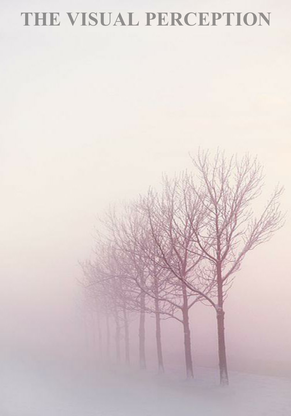 THE VISUAL PERCEPTION | English Romance Poem | Ashim Das