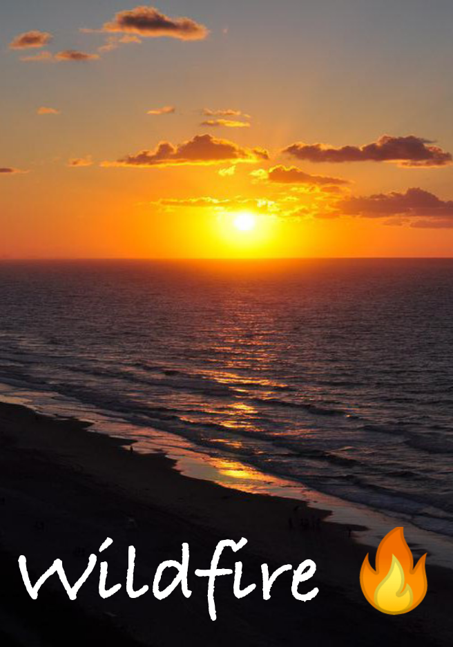 Wildfire | English Abstract Poem | SULOCHANA M KRISHNA