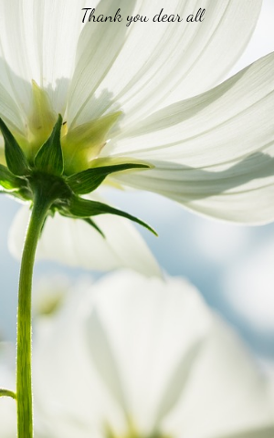 Thank You Dear All | English Inspirational Story | Kavitha Chandran