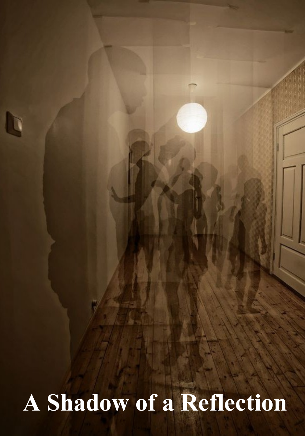 A Shadow Of A Reflection | English Abstract Story | Aravindh B