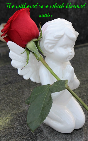 The Withered Rose Which Bloomed Again | English Romance Story | Jayanthi Shashikiran