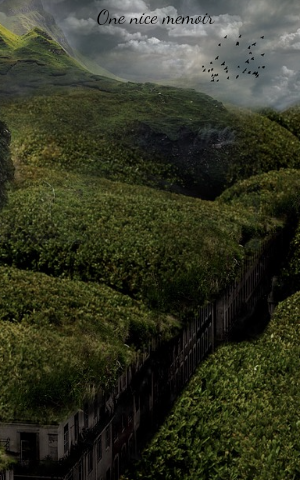 One Nice Memoir | English Inspirational Story | Kavitha Chandran