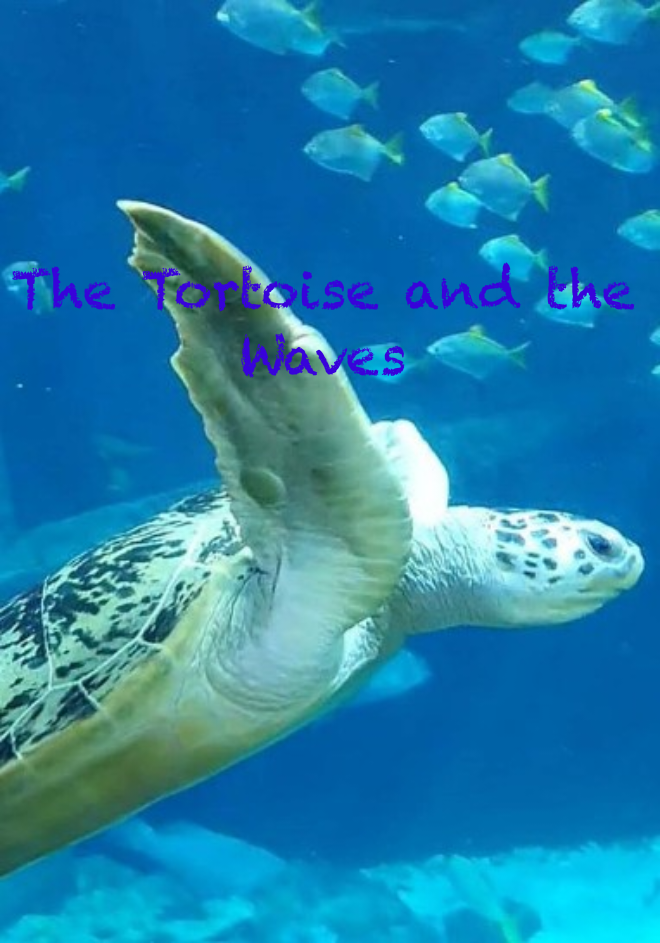 The Tortoise and the Waves | English Abstract Poem | Anjana Warrier