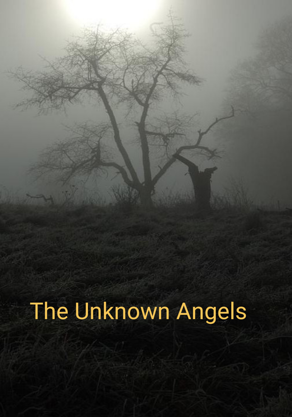 The Unknown Angels | English Abstract Story | C R Dash