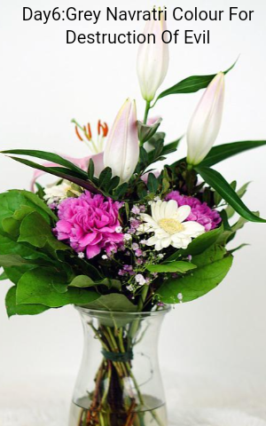 Day6:Grey Navratri Colour For Destruction Of Evil | English ...