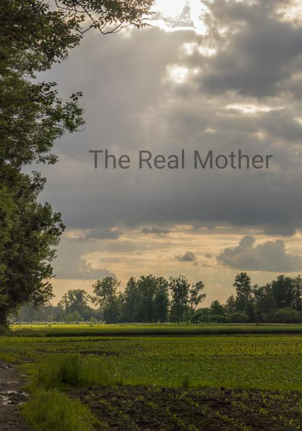 The Real Mother | English Children Stories Story | Sam JR