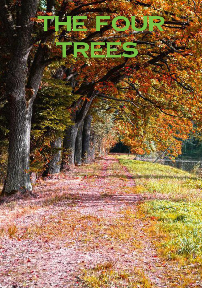 The four trees | English Children Stories Story | smrutirekha das