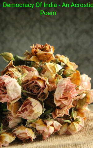 Democracy Of India - An Acrostic Poem | English Fantasy Poem | Ramya R