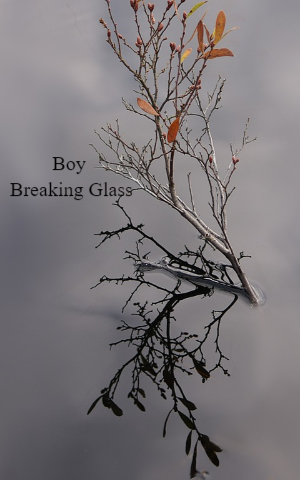 Boy Breaking Glass | English Abstract Poem | Tejas Goel