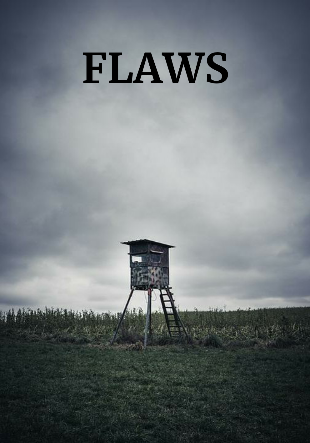 FLAWS | English Inspirational Poem | Vijayamalathi Mani