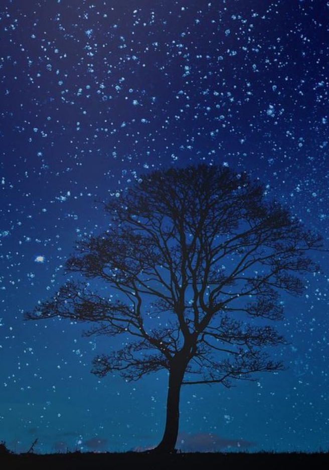 Shadow | English Inspirational Poem | Khushi Kaul