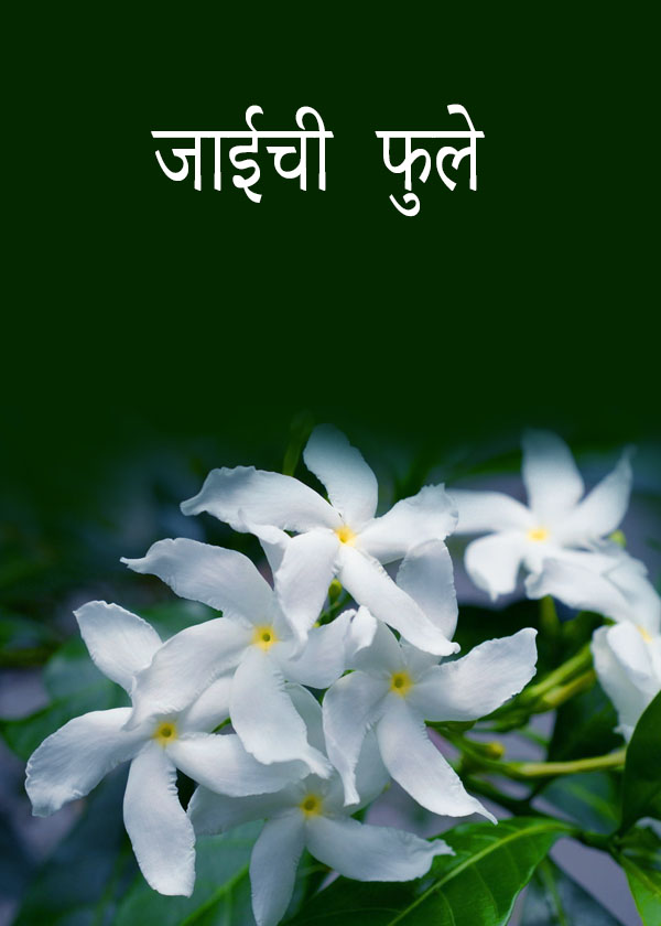 जाईची फुले | Marathi Inspirational Poem | yogesh Chalke