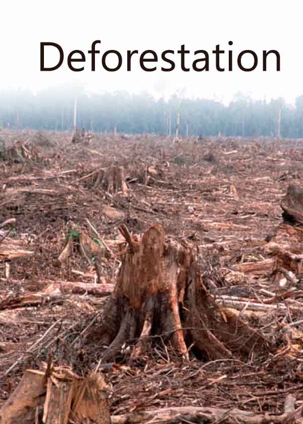 Deforestation | English Abstract Poem | Tanya Gupta