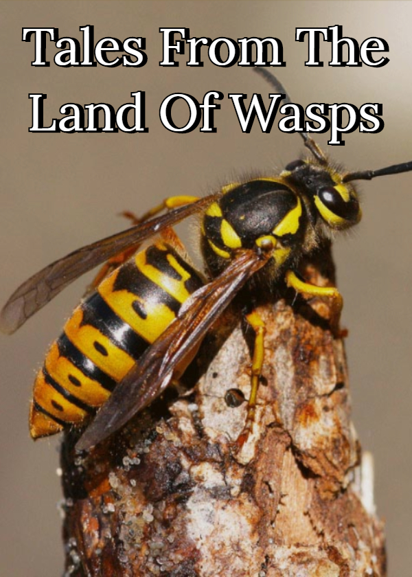 Tales From The Land Of Wasps | English Children Stories Story | Anna ...
