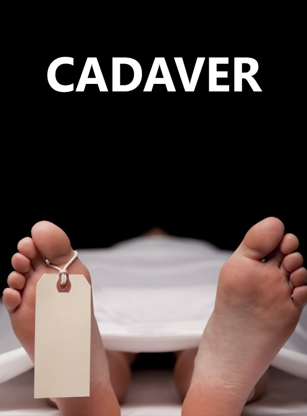 Cadaver | English Abstract Poem | Abhash Kumar Boral