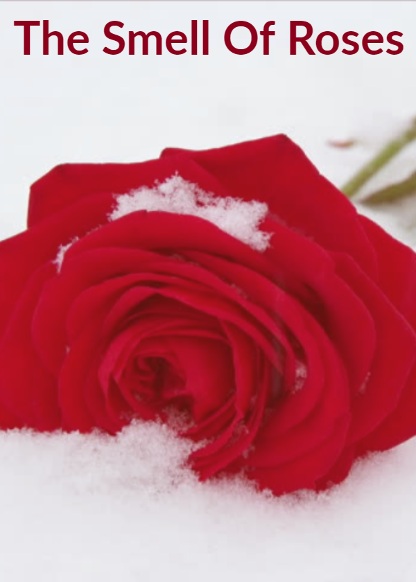 The Smell Of Roses | English Abstract Poem | Cele Ackley