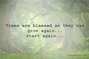 Trees are blessed as they ... | Akashsingh Lodh | English Comedy Quote